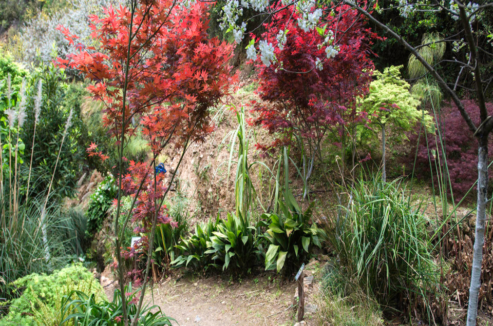 Botanical Park & Gardens Of Crete. – Iolkos Tours